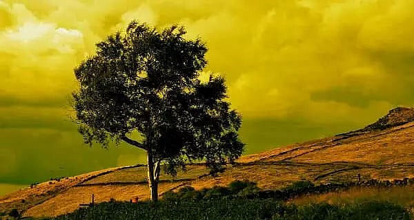 Weather And Temperature In Assam, Today And Next 10 Days