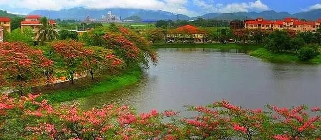 Weather And Temperature In Assam, Today And Next 10 Days