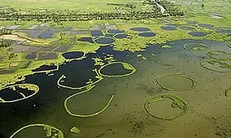 Loktak Lake in Manipur: Largest Natural Freshwater Lake of India with ...