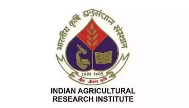 IARI Recruitment 2023 - 01 Young Professional-I Vacancy, Latest Jobs
