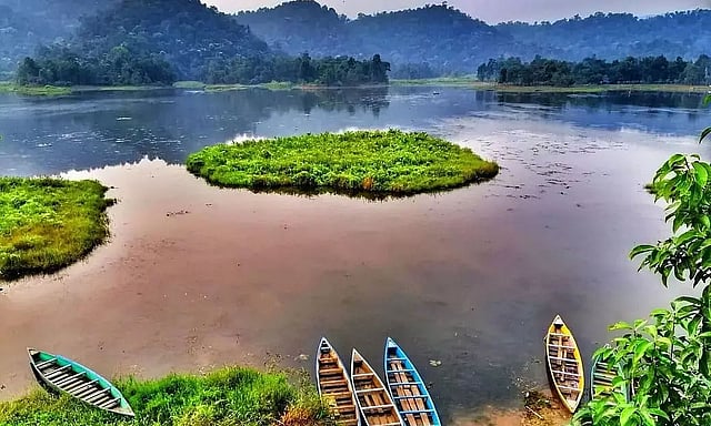 Best Picnic Spots in Assam That You Must Visit This Year