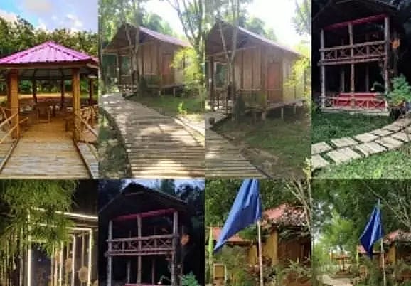 Tripura's bamboo park experiment