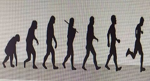 Evolution a rapid process all the time: Researchers