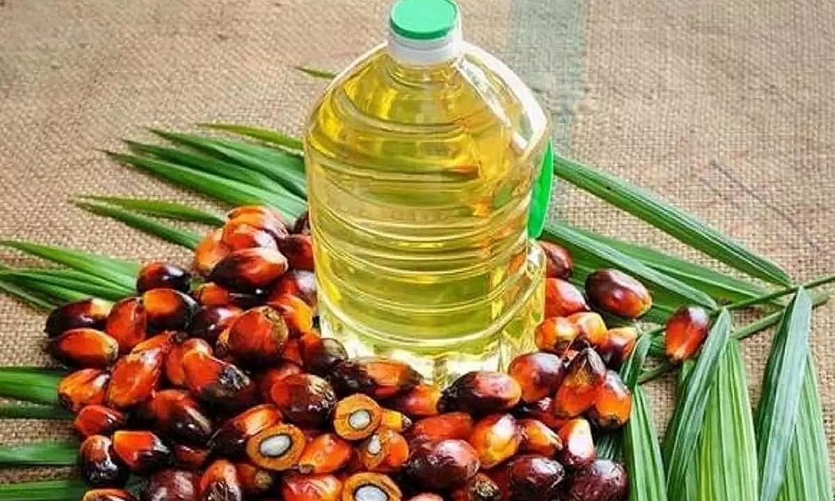 India's Palm Oil Imports Don't Need to Adhere to NDPE Policy: Government