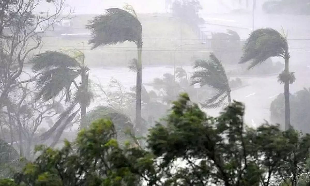 7 Killed After Heavy Rain And Storm Hits Upper Assam