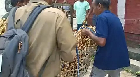 Assam: Woman Injured In Leopard Attack In Guwahati