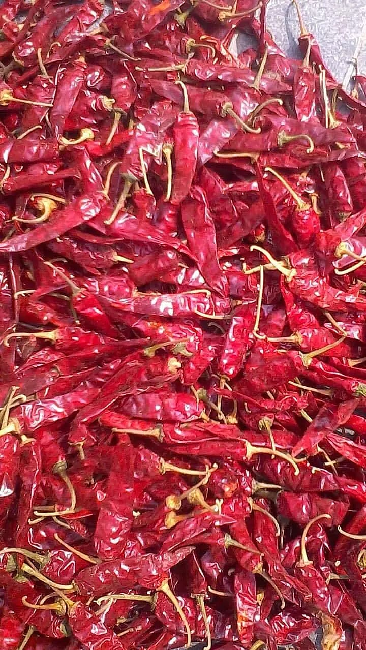 12 varieties of Indian chillies you must know about