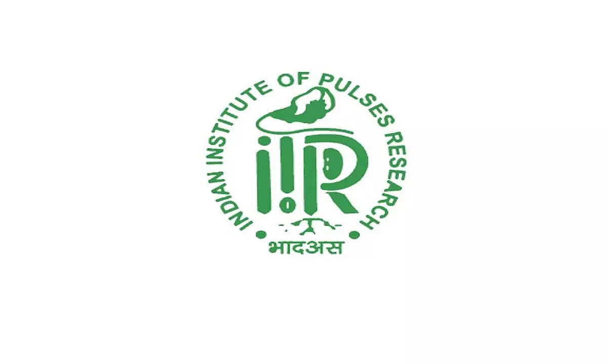 IIPR Recruitment 2022 – Young Professional – I Vacancy, Latest Jobs