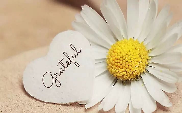 Importance of Gratefulness