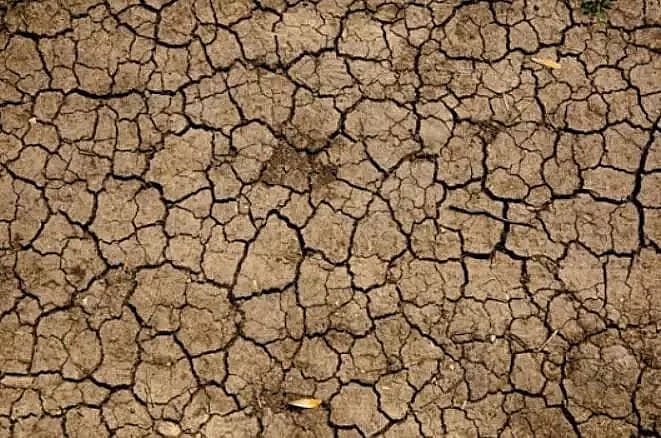 Portugal faces worst drought on record