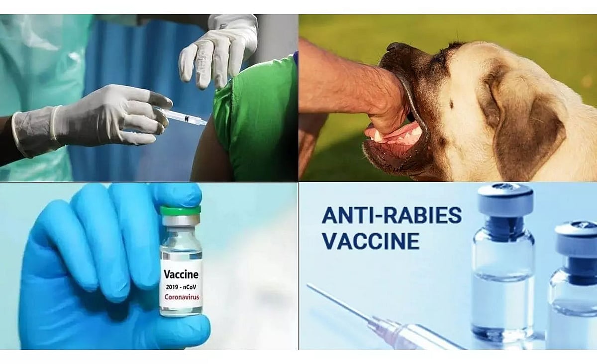 Anti-rabies vaccination drive held in Longding district of Arunachal ...