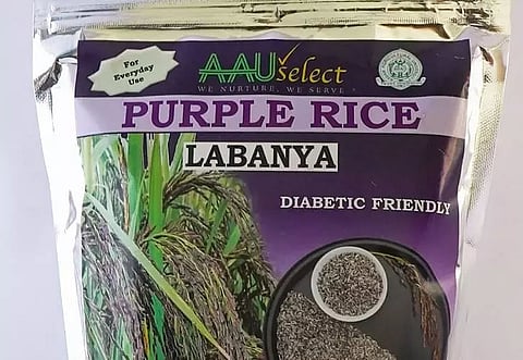 Diabetic-friendly purple rice from Assam set to hit global market