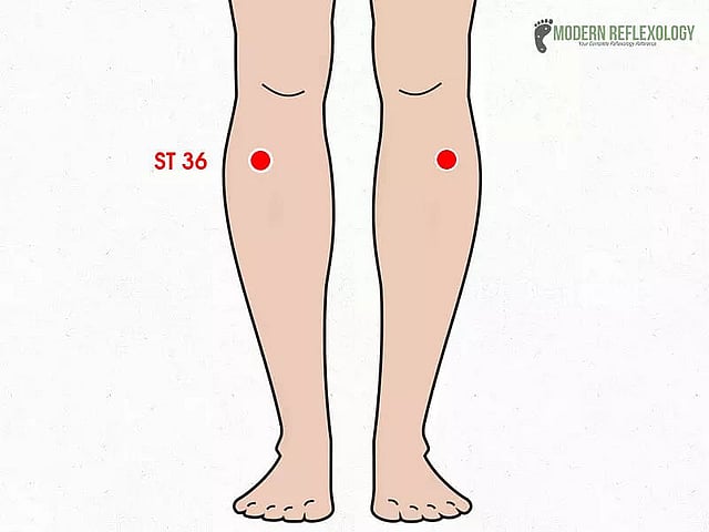 5 Effectual Acupressure Points to Revitalize You from Bloated Stomach ...