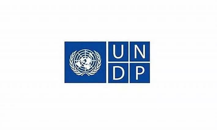 UNDP Recruitment 2022 - Manager Vacancy, Job Opening