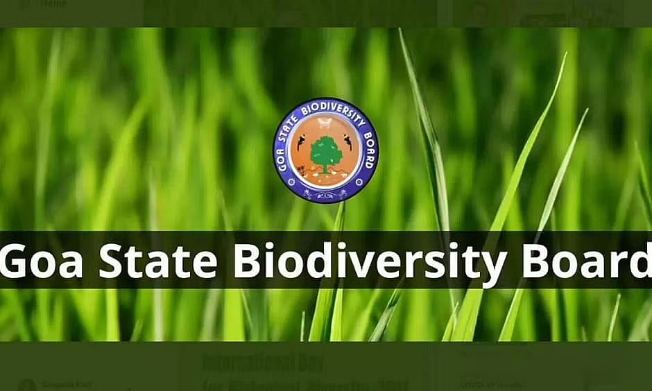 GSBB Recruitment 2022 - InternsVacancy, Job Opening