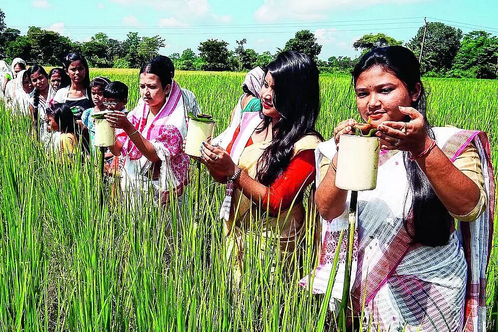 Assam: People Pray for a Better Crop on Kati Bihu Today