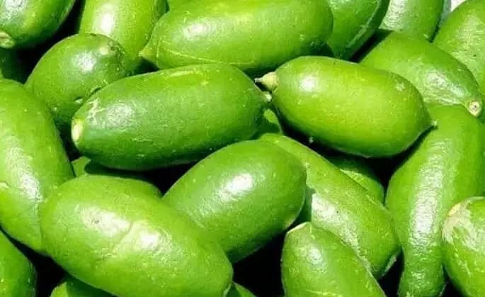 Walk into a kiosk, walk out with Assam lemon