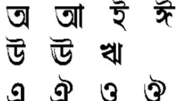 'Assamese language in conflict with other burgeoning languages'