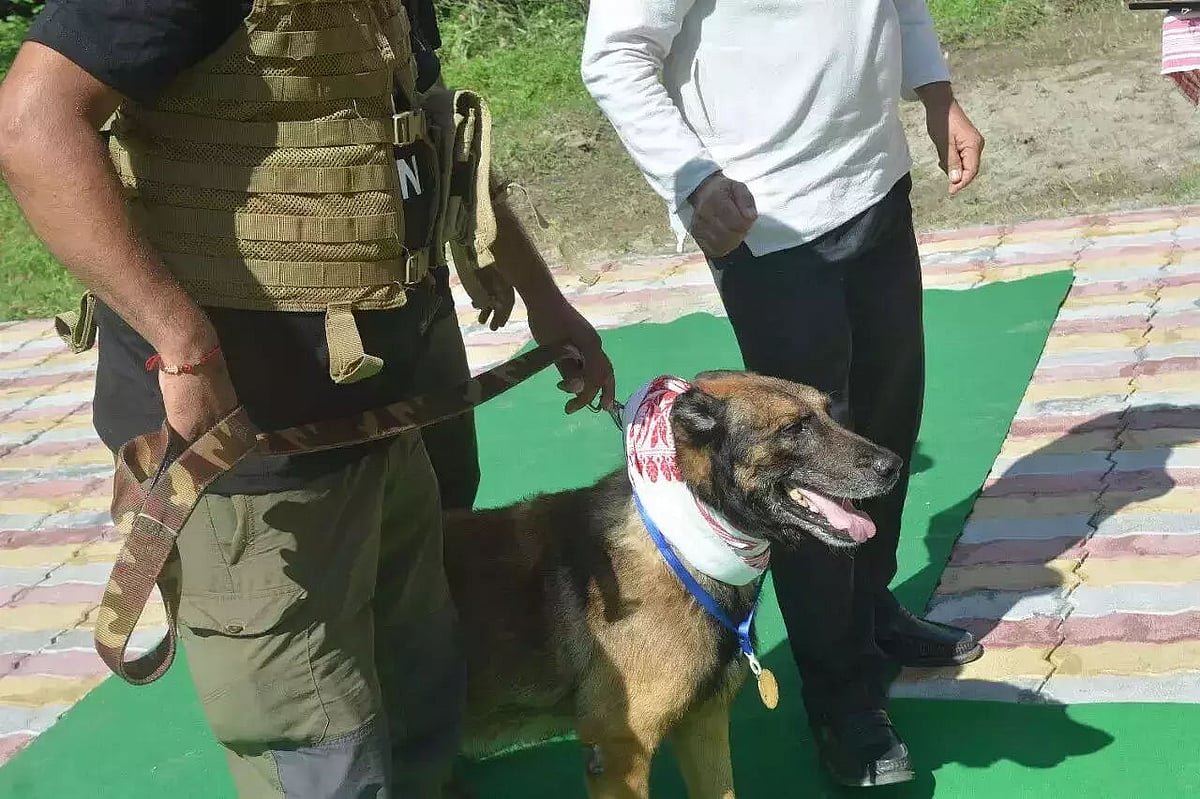 Assam: India's First Anti-Poacher Dog Zorba Dies In Guwahati