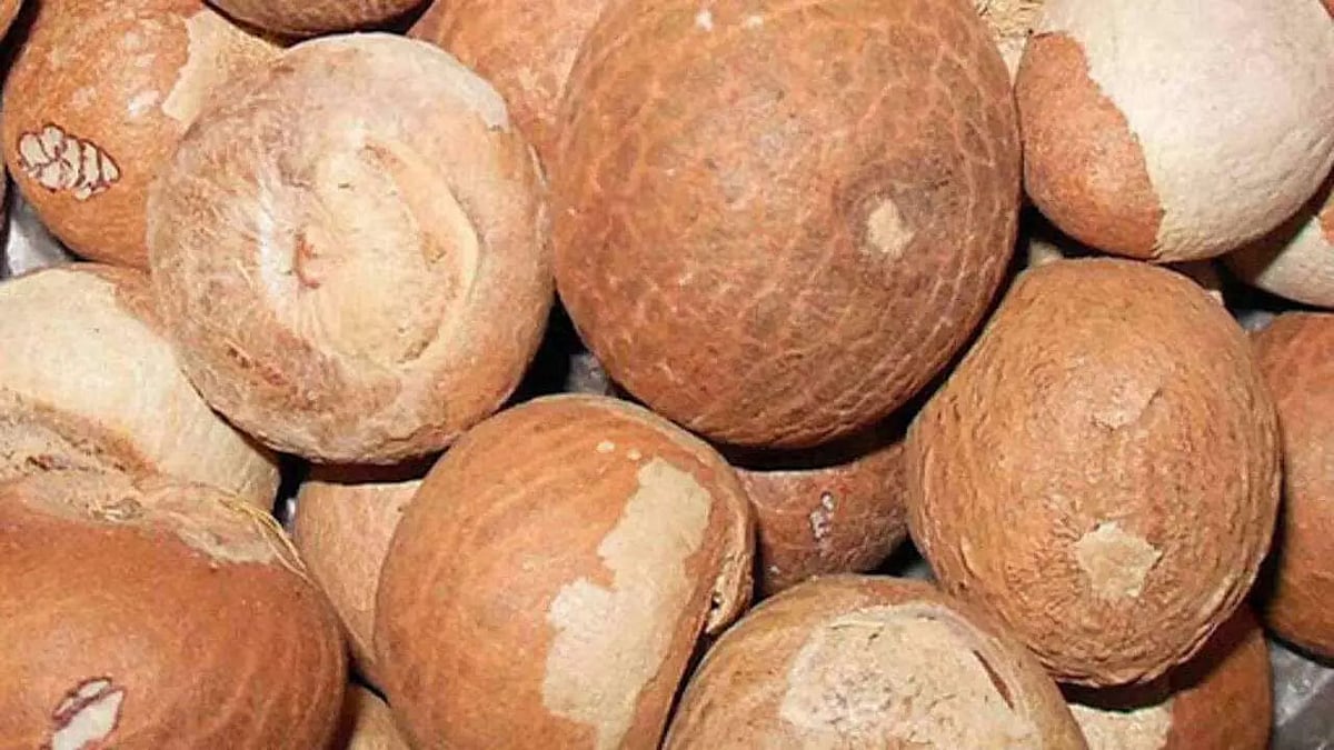 Pan-masala addiction leads to supari smuggling in Assam