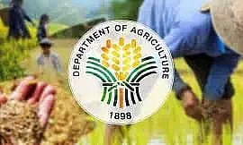 DoA Invites Tender for Construction of Farm Path at Sorbhog Seed Farm ...