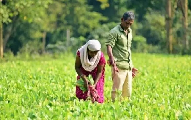 Registration process for PM Kisan begins; eligible farmers urged to apply