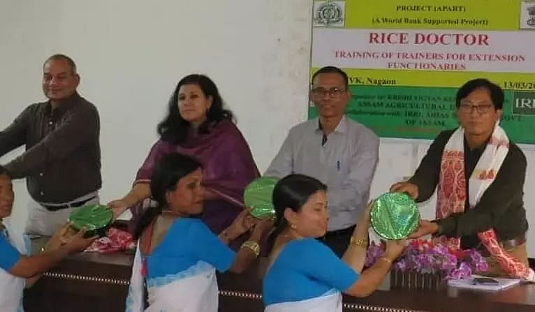 Krishi Vigyan Kendra, Nagaon organized training on rice doctor app