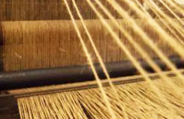 Coir Board organizes four-day Coir Expo at Jyotichitraban in Kahilipara ...
