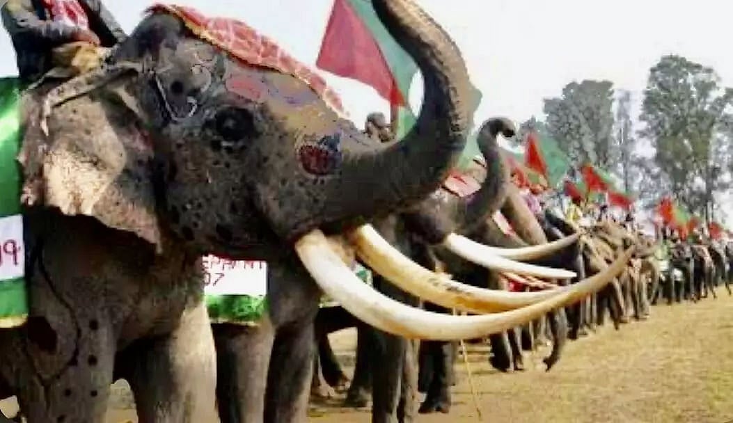 Droupadi Murmu To Launch Gaj Utsav in Kaziranga To Mark 30 Years Of ...