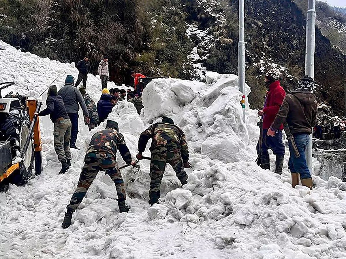 Rescue operations resume at avalanche site in Sikkim's Nathu La