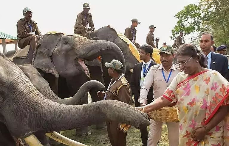 President Droupadi Murmu inaugurates Gaj Utsav-2023 at Kaziranga