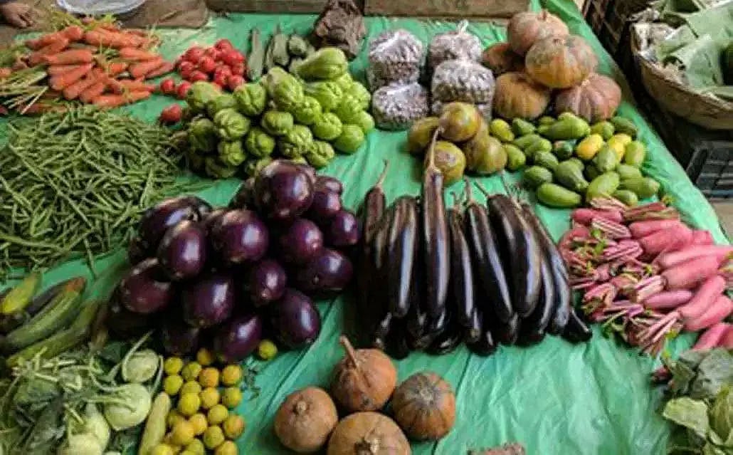 Contaminated Vegetables: Instant testing kits are available with BARC ...