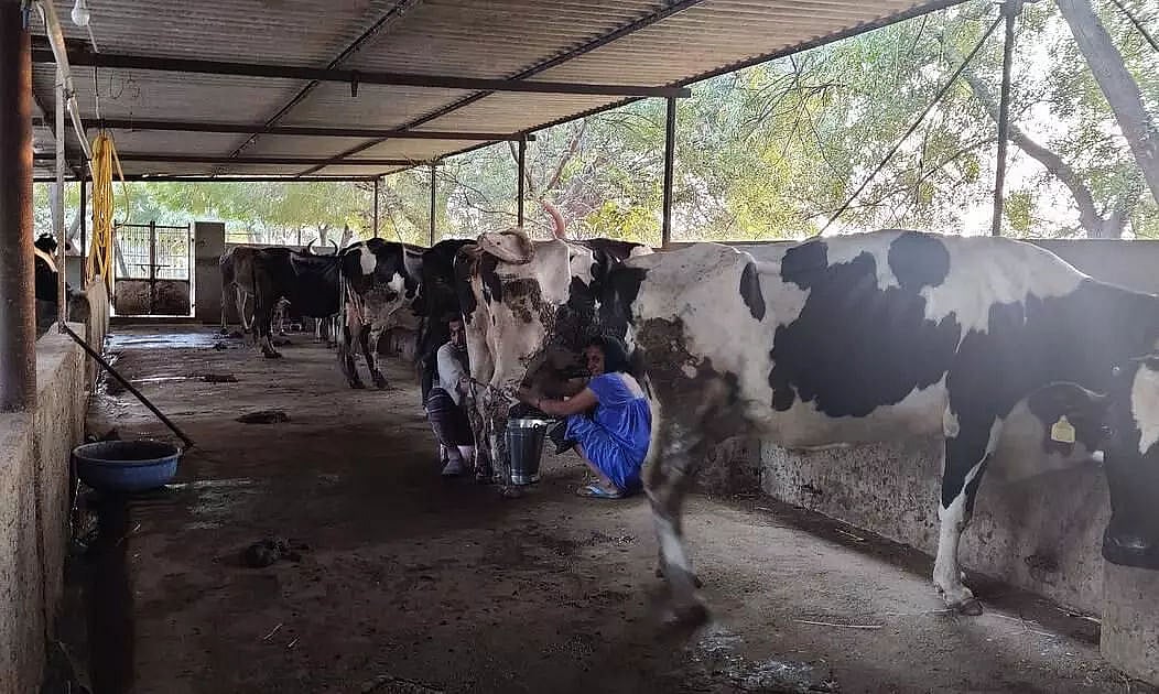 New Mart for rural diary farmers opened in Nagaon