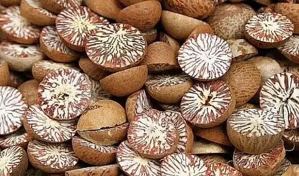 Huge quantity of Burmese supari seized in Silchar