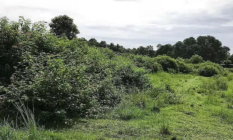 Numaligarh Refinery Ltd (NRL) officials visit Kandoli Proposed Reserve ...