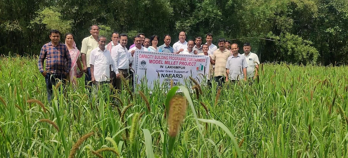 Capacity-building training programme held for Model Millet Project in ...