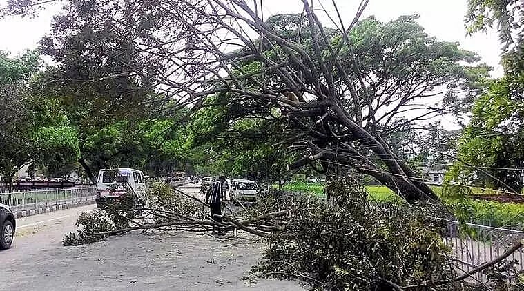 Storm claims life of one Katiram Bora at Kampur Bholbholia village