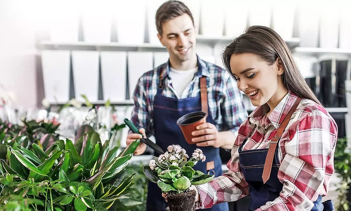 Rise of ‘plant parenthood’, A dating Trend that brings plant lovers ...