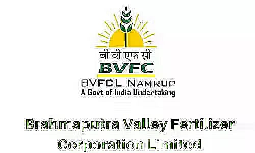 BVFCL Recruitment 2023- Assistant Medical Superintendent Vacancy, Job ...