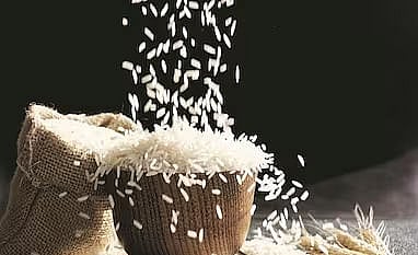 Goa ration card holders get rice swarming with maggots, mites, fungus