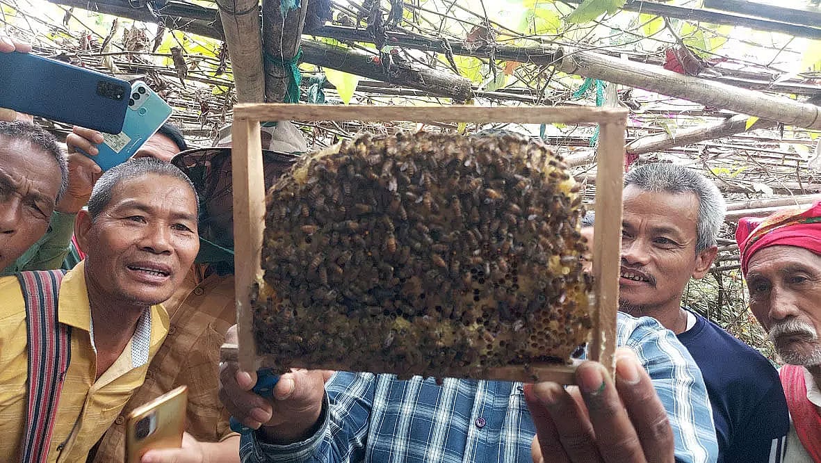 Training programme on beekeeping and Honey Bee Hive Distribution at Karbi Anglong