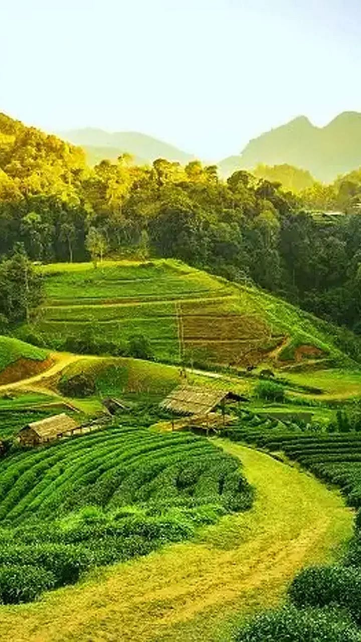 Facts about Assam that makes it different from Rest of Indian States