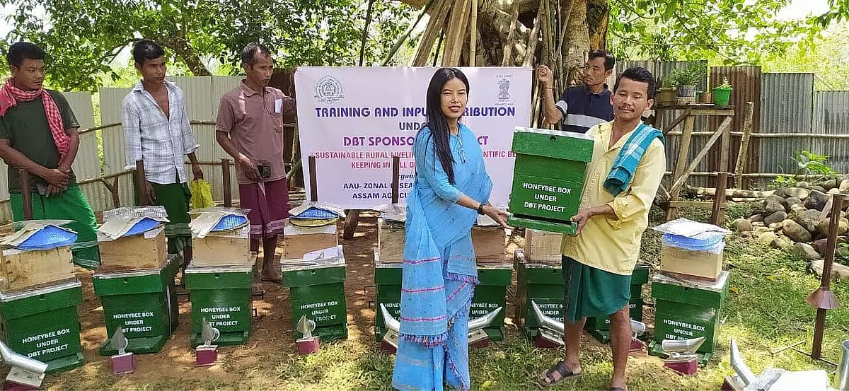 Input distribution and training programme held at P Simplangdisa and ...