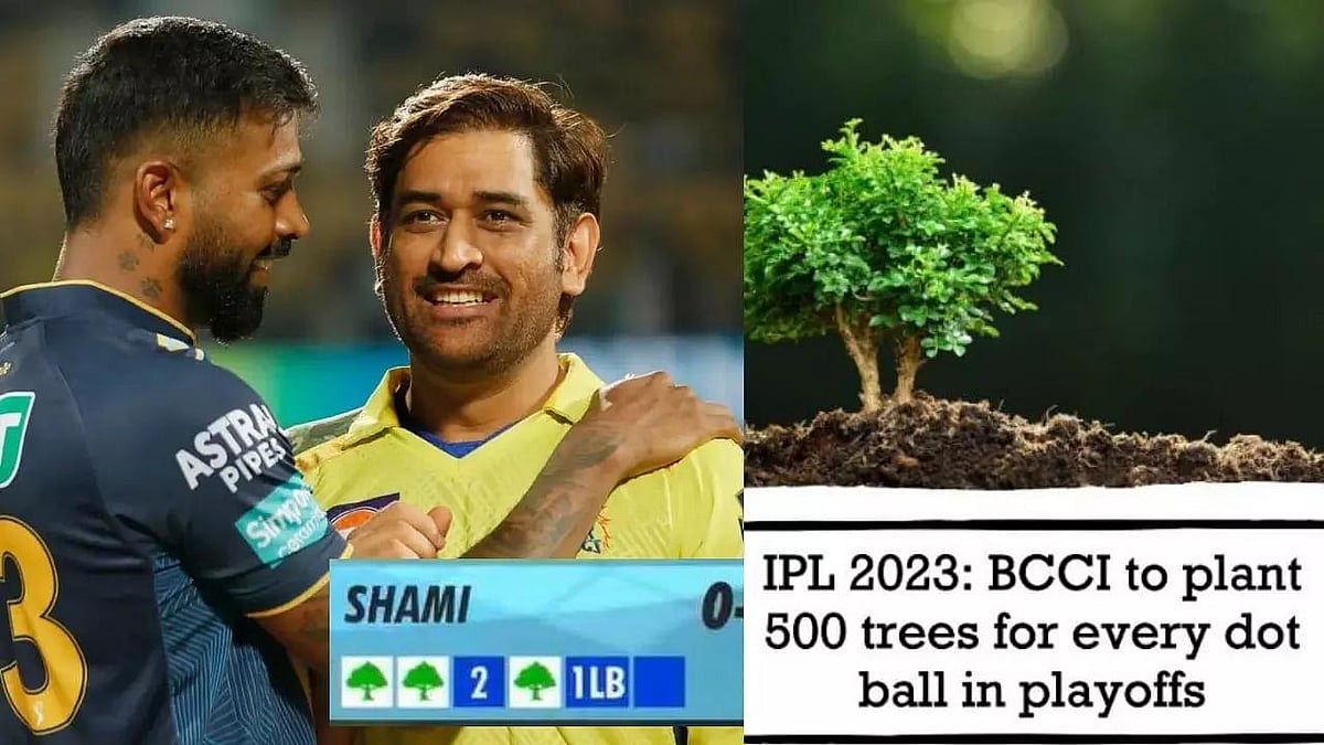 IPL 2023: BCCI to Plant 500 Trees For Every Dot Ball To Support ...