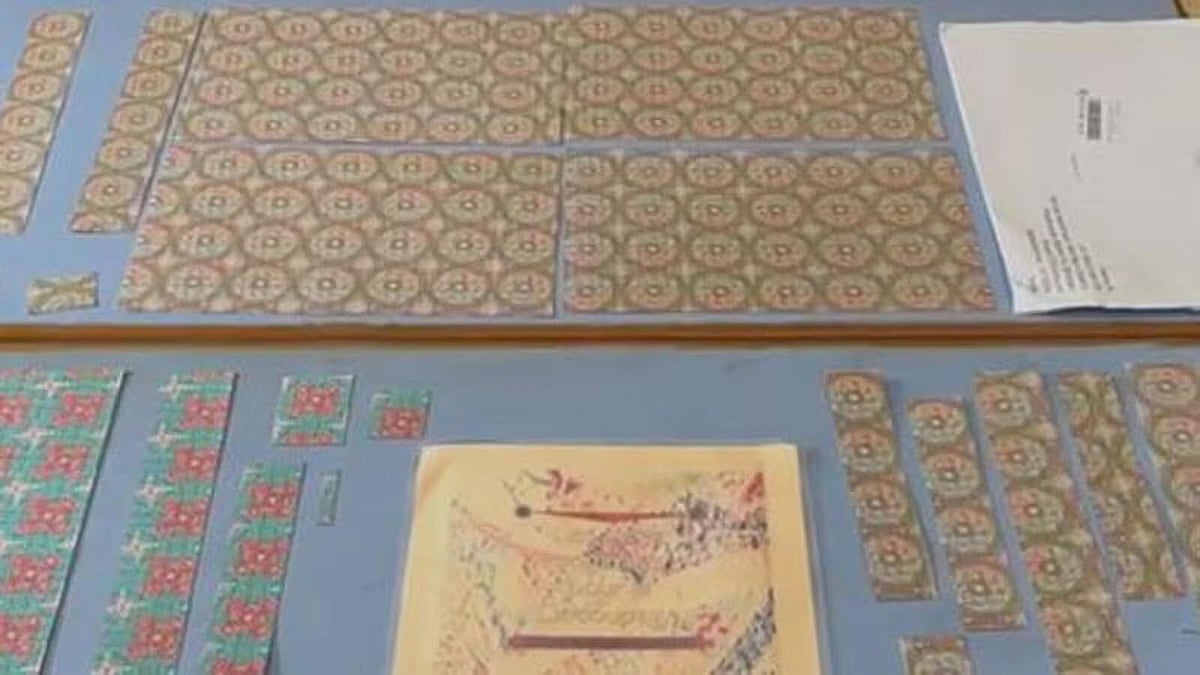 NCB busts pan-India darknet LSD trafficking network, 6 held