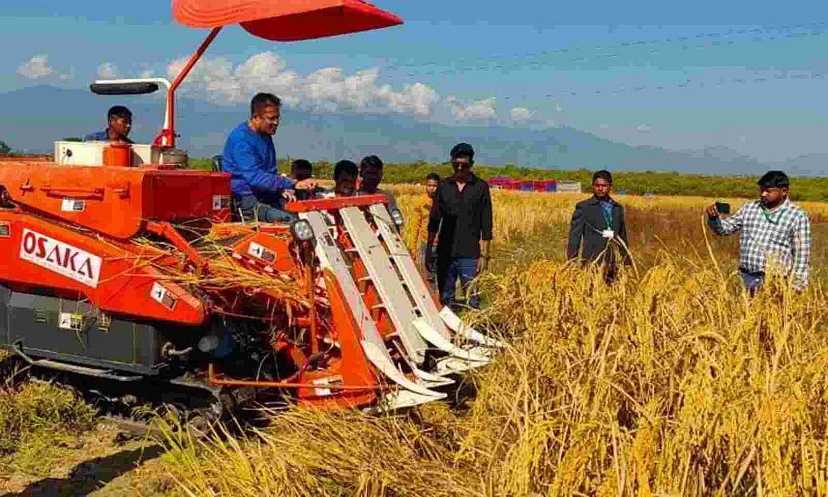 Grand harvest programme of Boro paddy held under Assam Agribusiness and ...