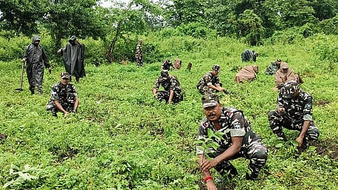Mega plantation drive held by 31st Battalion SSB Gossaigaon