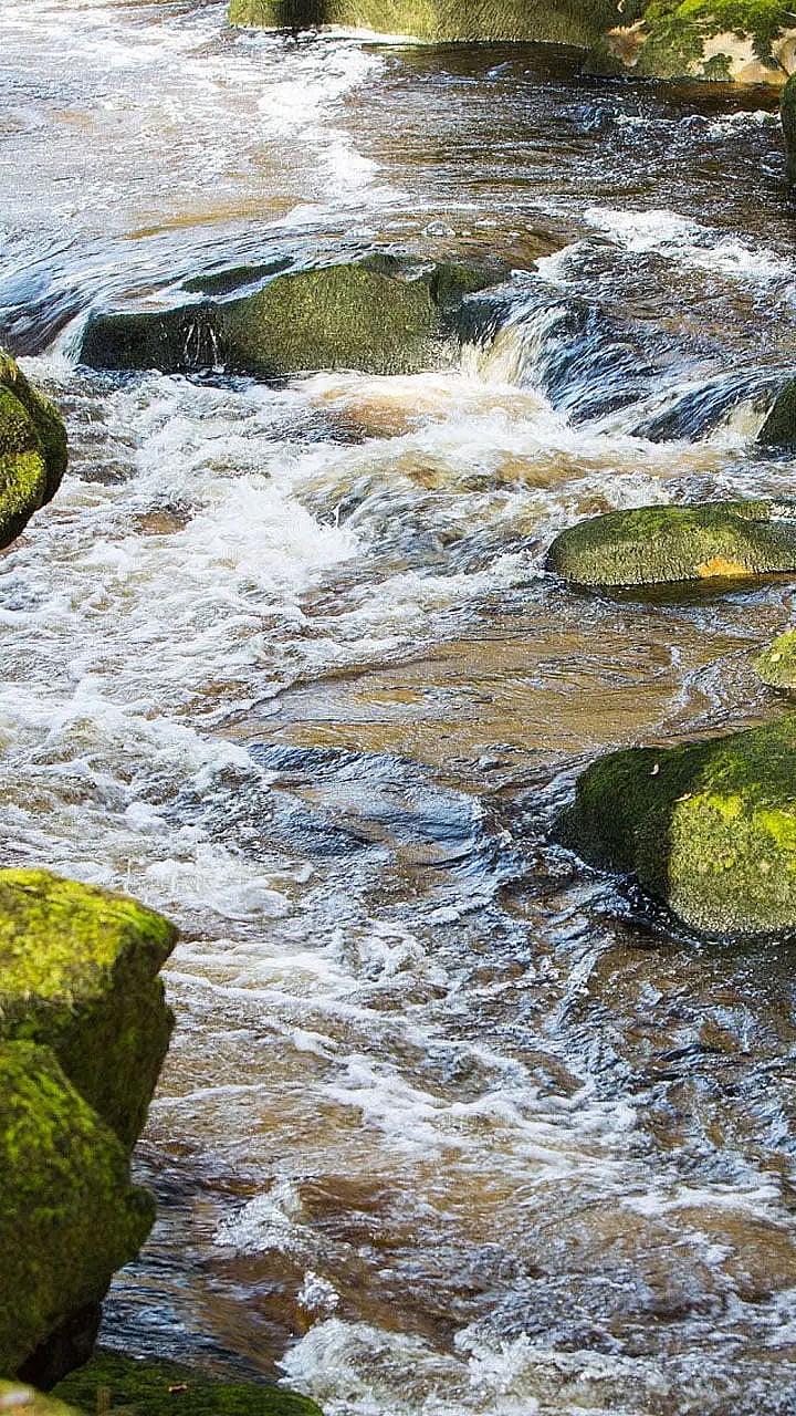 Most Dangerous Rivers in the World