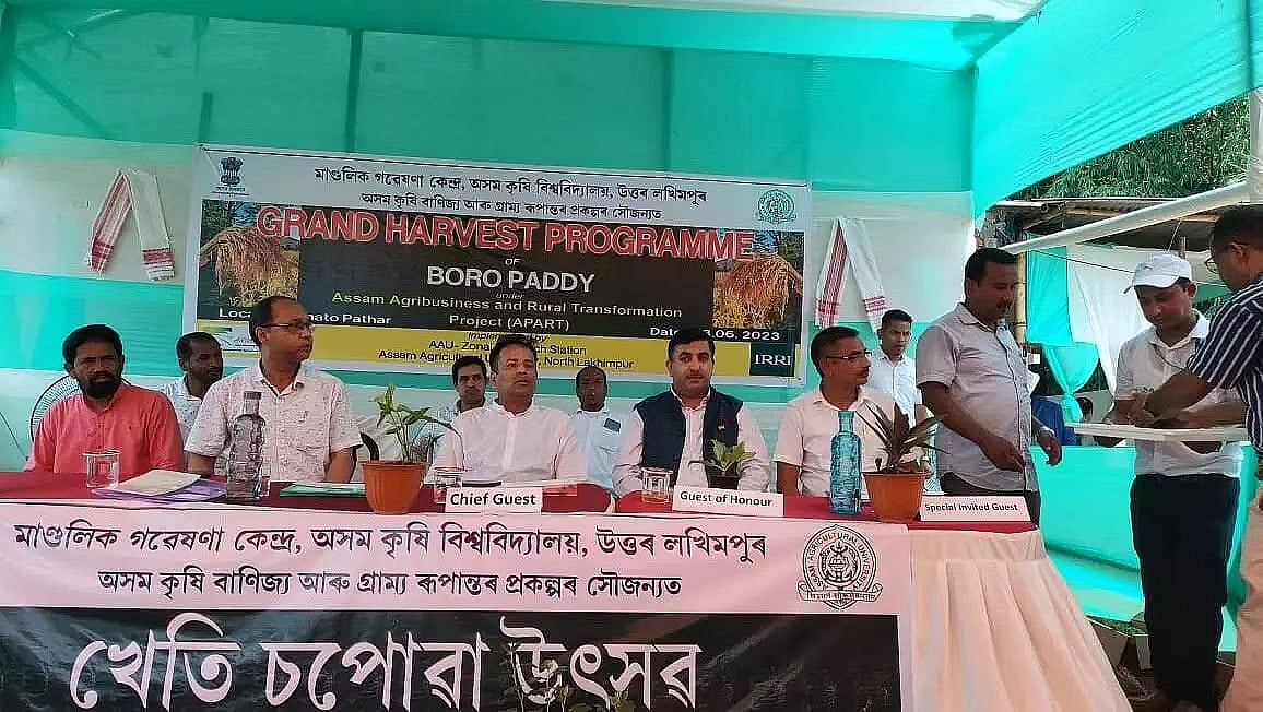 End of grand harvest programme of Boro paddy in Sonitpur