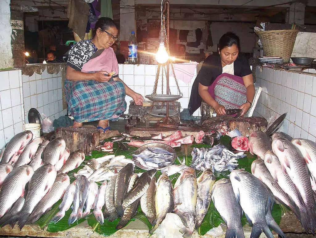 Meghalaya to Set up a Permanent Testing Centre to Check for Formalin in ...